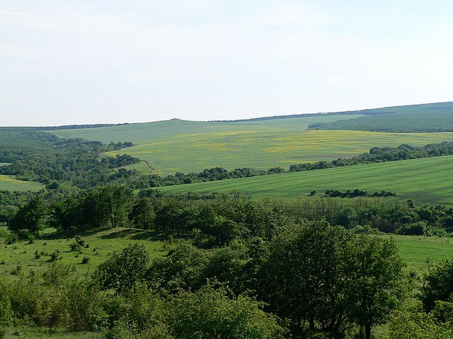 Meadow Valley - Eurolink Investment Group