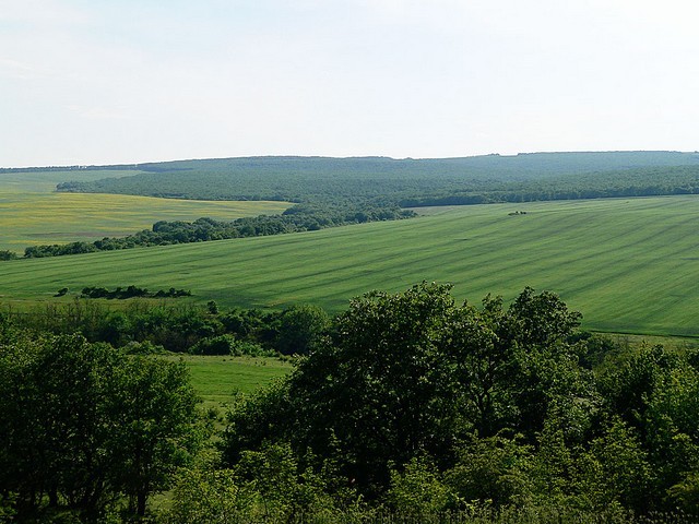 Meadow Valley - Eurolink Investment Group